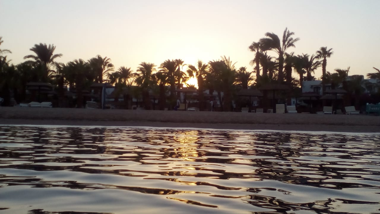 "Strand" Lotus Bay Beach Resort (Abu Soma) • HolidayCheck (Hurghada ...