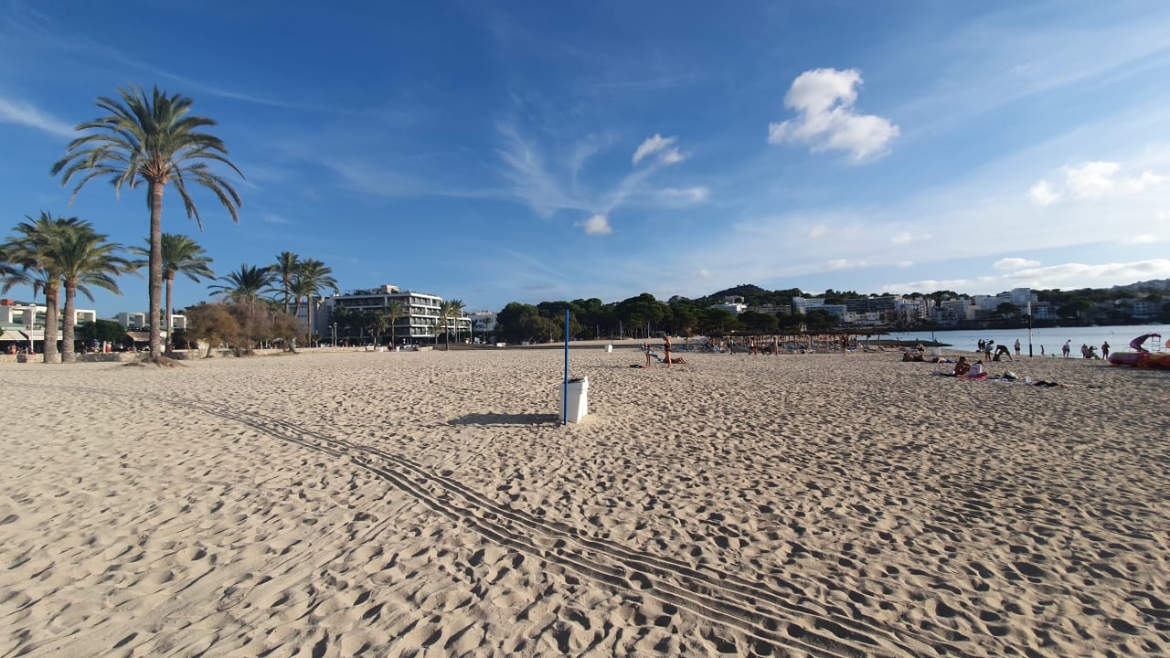 "Strand" Club Santa Ponsa (Calvia) • HolidayCheck (Mallorca | Spanien)