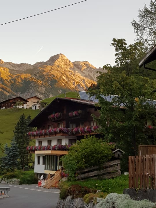 "Morgenidyll" Gasthof Alpenhof (Steeg) • HolidayCheck (Tirol | Österreich)