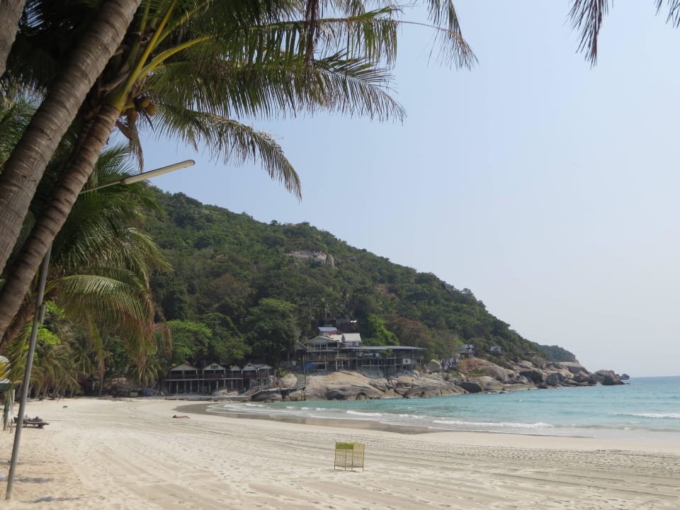 "Haad Rin Beach" Palita Lodge (Ban Tai) • HolidayCheck (Koh Phangan ...