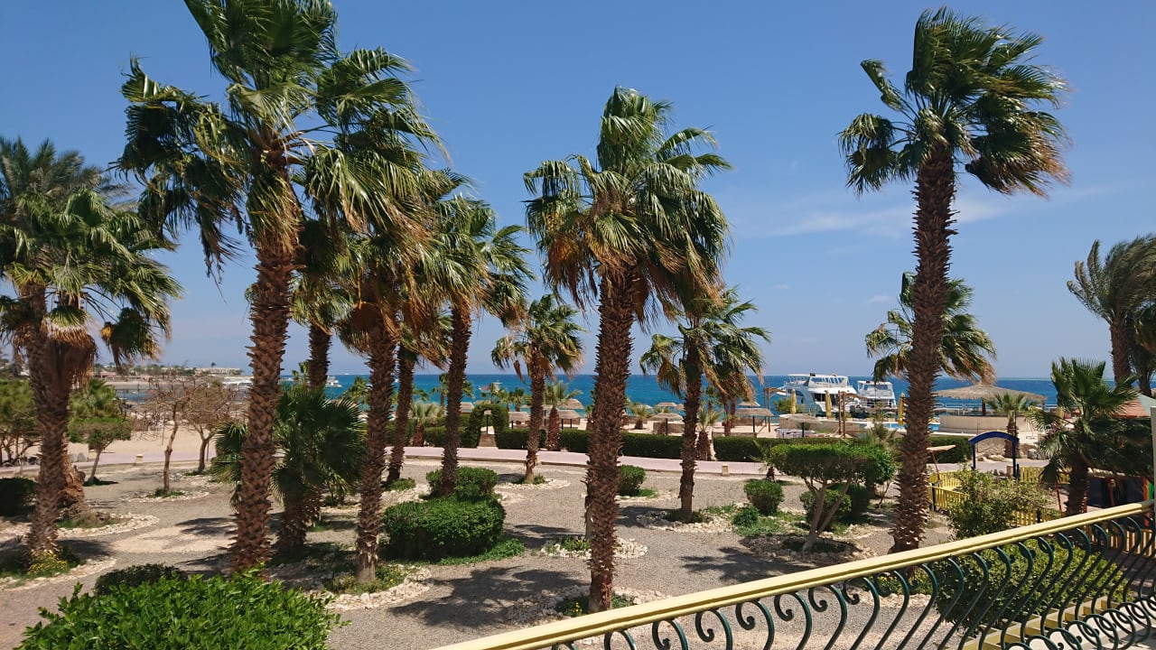 "Ausblick" Lotus Bay Beach Resort (Abu Soma) • HolidayCheck (Hurghada ...