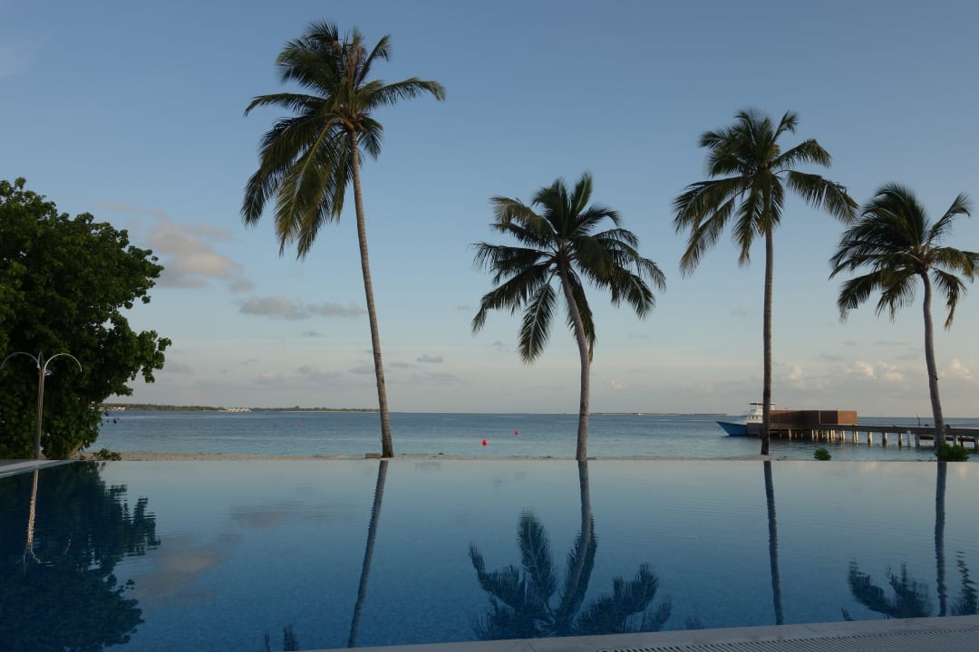 "Infinity Pool" Reethi Faru Resort (Meedhoo) • HolidayCheck (Raa Atoll ...