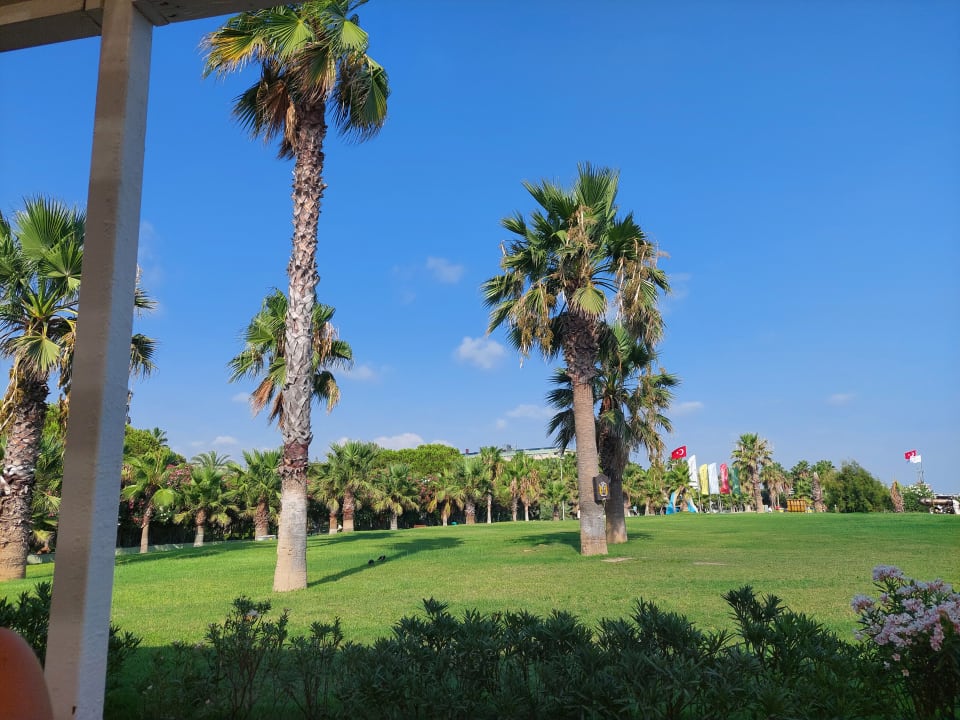 "Strand" Victory Be Mine Hotel (Colakli) • HolidayCheck (Türkische ...