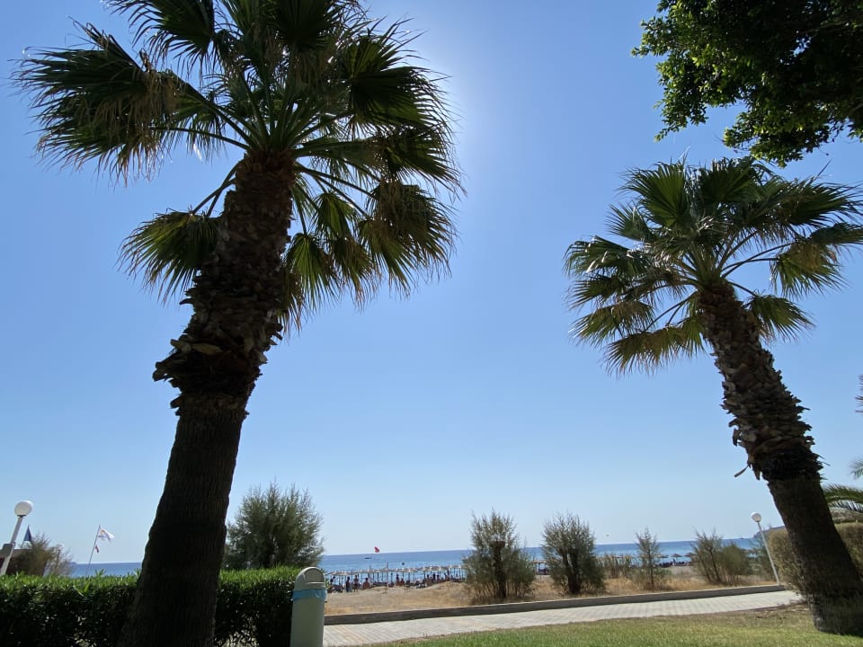 "Strand" Blue Sea Beach Resort (Faliraki) • HolidayCheck (Rhodos ...