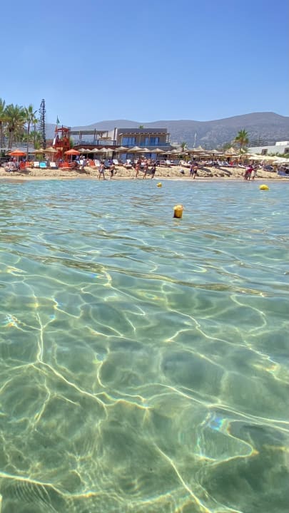 "High White Beach Gebäude ..." High Beach White - Adults Only (Malia ...