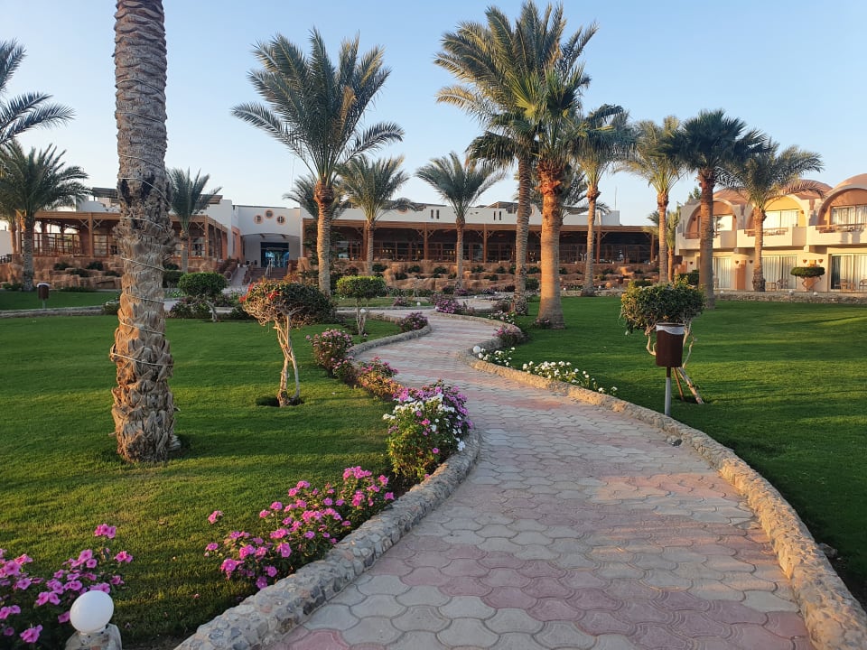 "Gastro" Three Corners Sea Beach Resort (Marsa Alam) • HolidayCheck ...