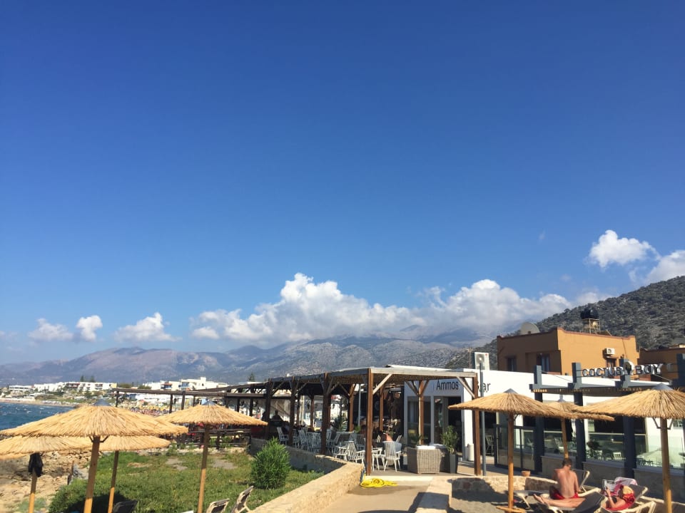 "Außenansicht" Cactus Bay (Stalis) • HolidayCheck (Kreta | Griechenland)