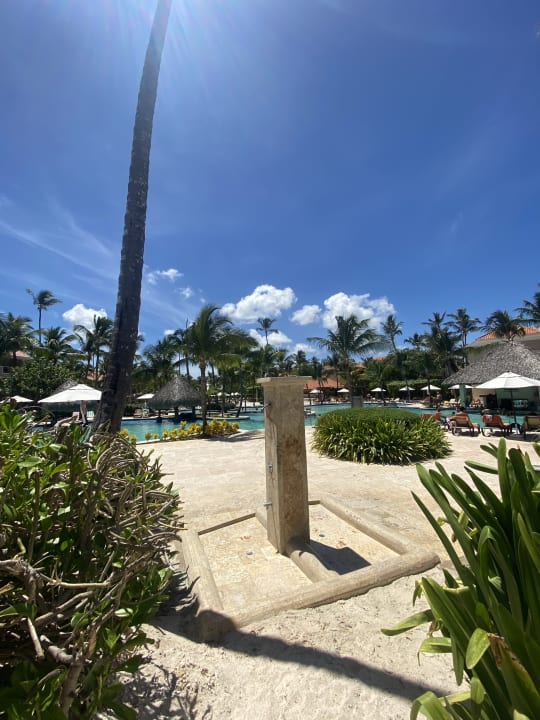 "Pool" Jewel Palm Beach (Punta Cana) • HolidayCheck (Dominikanische ...