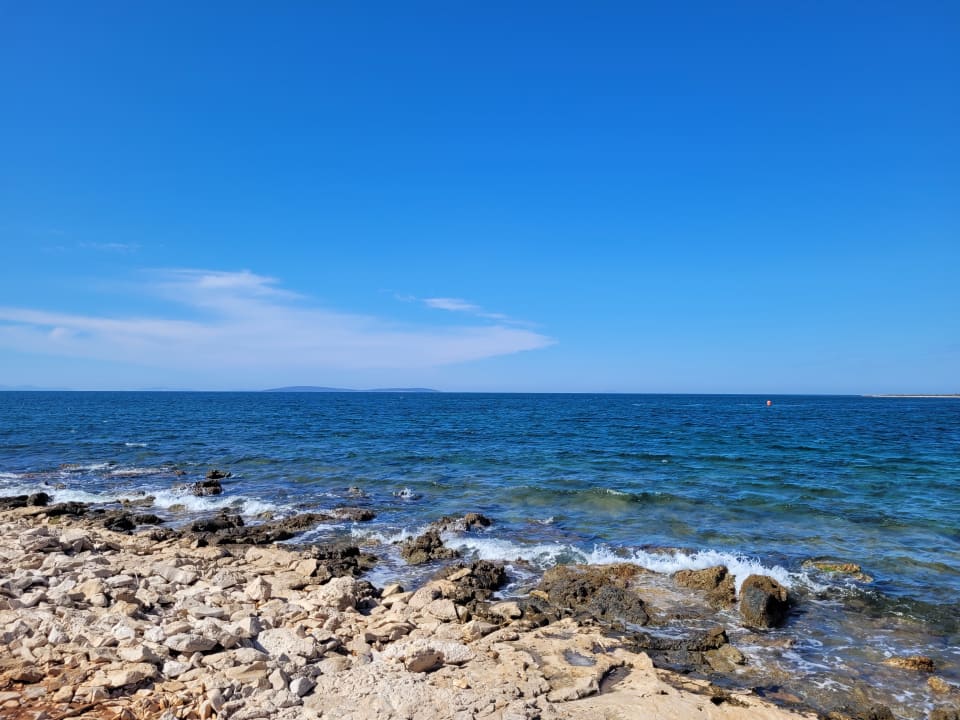 "Strand" Aquasis De Luxe Resort & Spa (Didim) • HolidayCheck (Türkische ...