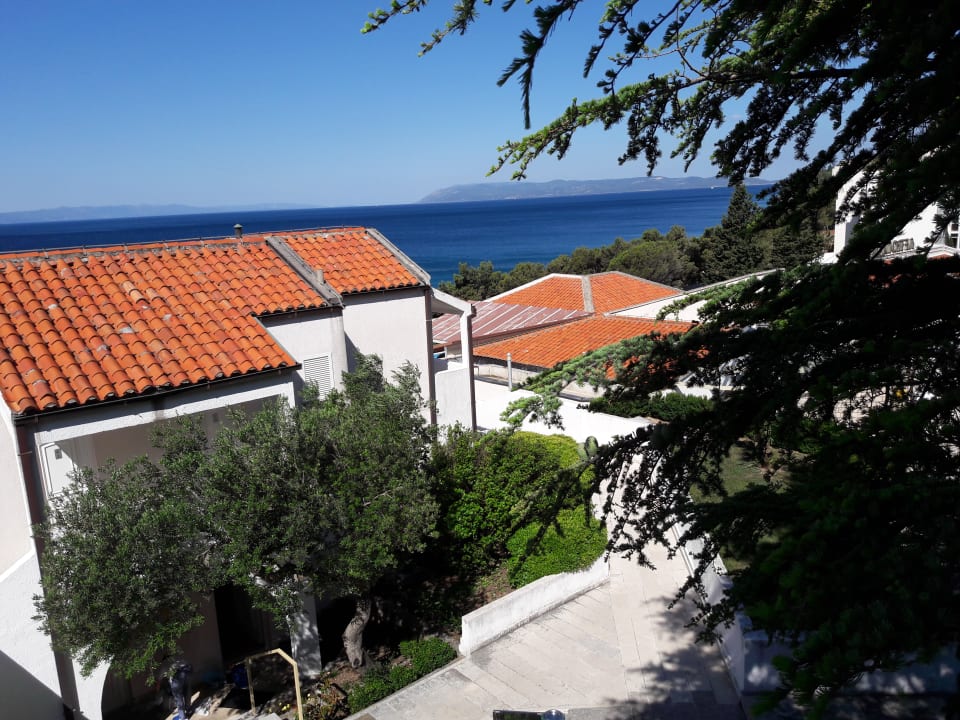 "Ausblick" Bluesun Holiday Village Afrodita (Tucepi) • HolidayCheck ...