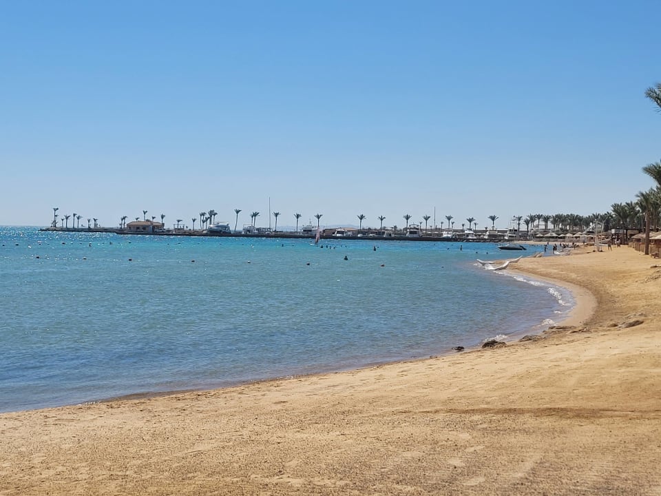 "Blick über den Strand" Steigenberger ALDAU Beach Hotel (Hurghada ...