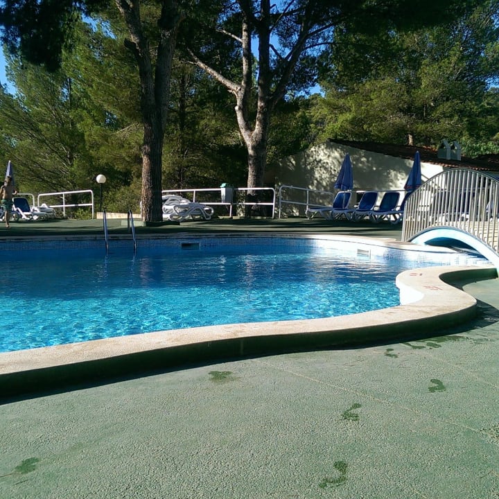 "Pool" FERGUS Club Europa (Peguera) • HolidayCheck (Mallorca | Spanien)