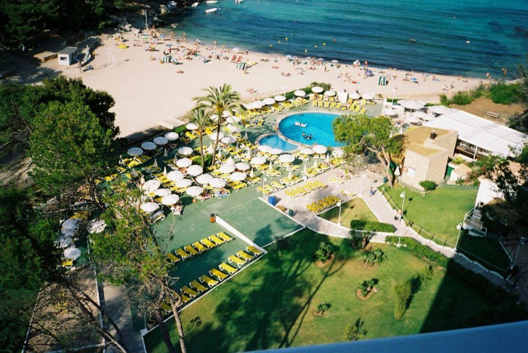 "Ausblick auf den Pool und..." AluaSoul Carolina - Adults Only ...