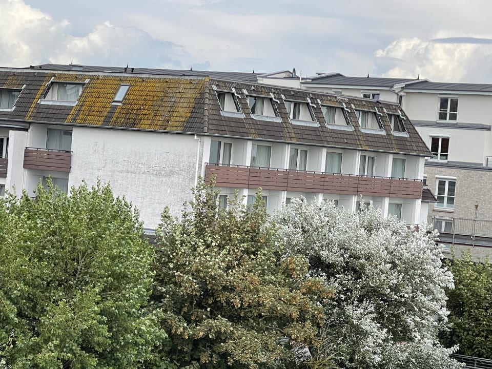 "Frühstück mit Deichblick." Strandhotel Salty (Büsum) • HolidayCheck ...