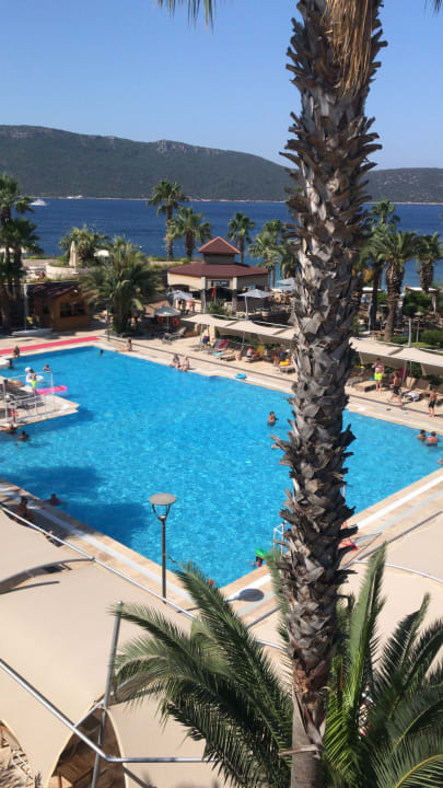 "Pool" TUI MAGIC LIFE Bodrum - Adult Only (16+) (Bodrum) • HolidayCheck ...