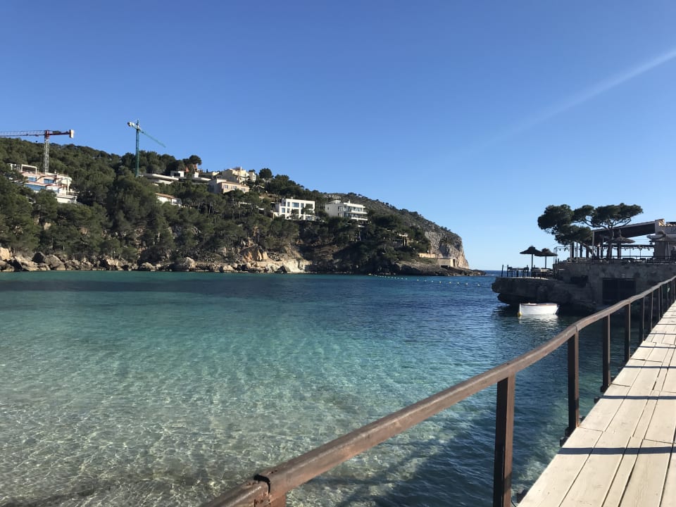 "Strand" Alua Gran Camp de Mar (Camp de Mar) • HolidayCheck (Mallorca ...