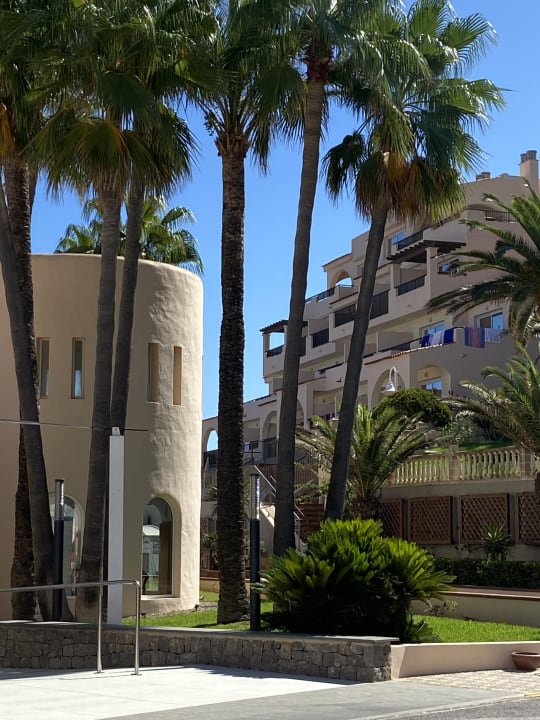 "Gartenanlage" Sentido Cala Verde (Playa Des Figueral) • HolidayCheck ...