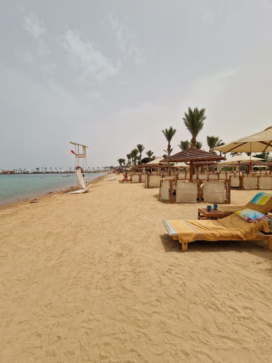 "Strand" Steigenberger ALDAU Beach Hotel (Hurghada) • HolidayCheck ...