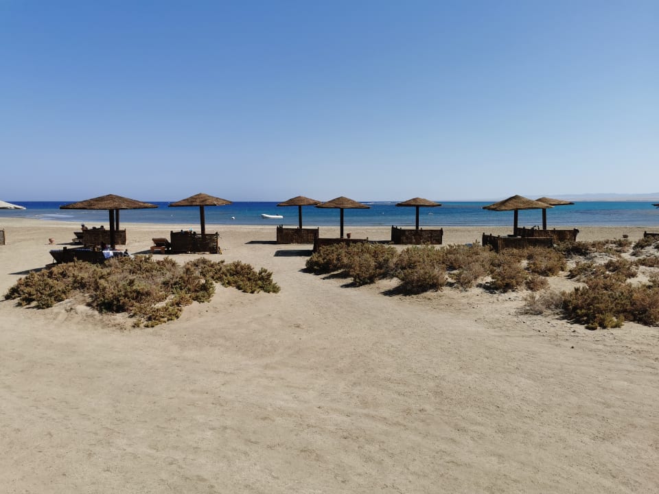 "Strand" Lahami Bay Beach Resort (Hamata) • HolidayCheck (Marsa Alam/El Quseir | Ägypten)