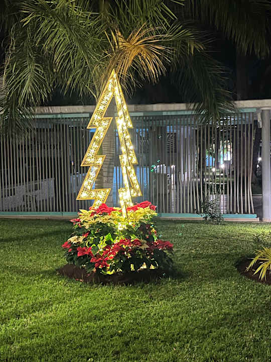 "Gartenanlage" Hotel Riu Palace Palmeras (Playa del Ingles ...