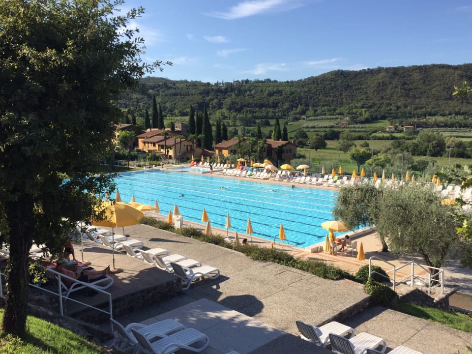 "Pool" Poiano Resort - Hotel (Garda) • HolidayCheck (Venetien | Italien)