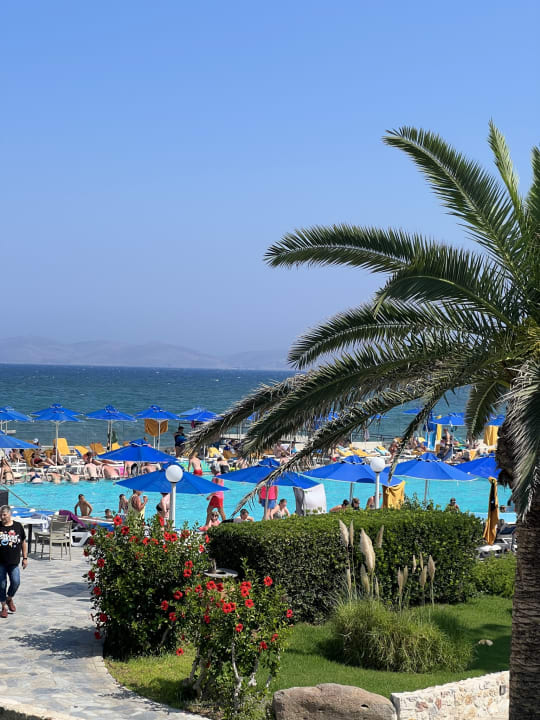 "Pool" Mastichari Bay Hotel (Mastichari) • HolidayCheck (Kos ...