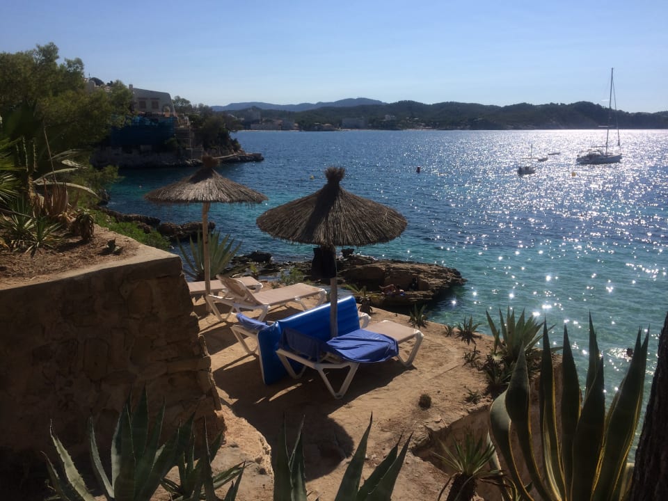 "Strand" Hotel Cala Fornells (Calvia) • HolidayCheck (Mallorca | Spanien)