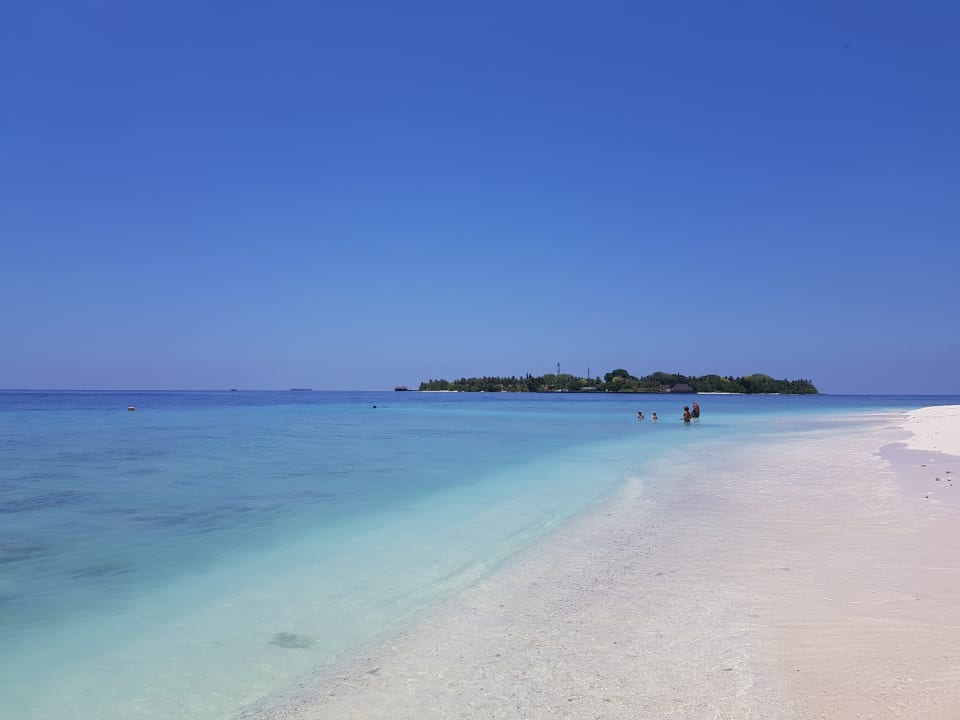 "Strand" Malahini Kuda Bandos Resort (Hulhumalé) • HolidayCheck (Kaafu ...