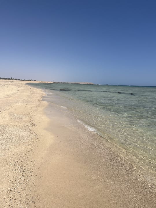 "Strand" Iberotel Costa Mares (Marsa Alam) • HolidayCheck (Marsa Alam ...
