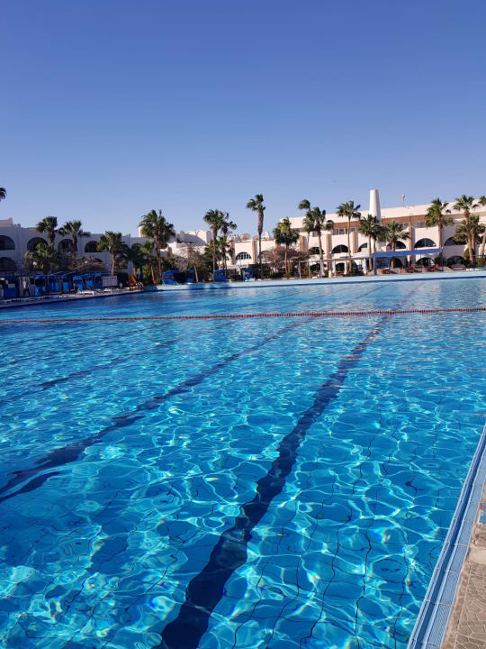 "Pool" Arabia Azur Resort (Hurghada) • HolidayCheck (Hurghada/Safaga ...