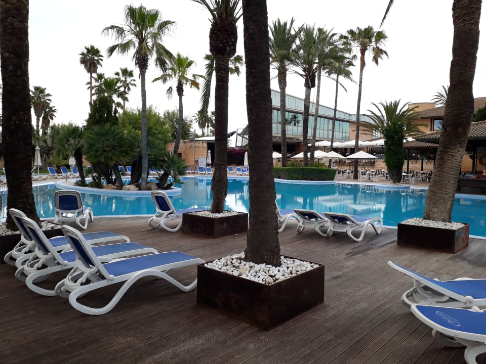 "Pool" PortBlue Club Pollentia Resort & Spa (Alcudia) • HolidayCheck ...