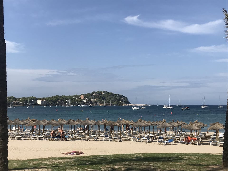 "Strand" Club Santa Ponsa (Calvia) • HolidayCheck (Mallorca | Spanien)