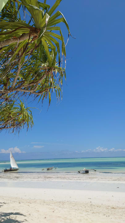 "Strand" Neptune Pwani Beach Resort & Spa (Pwani Mchangani ...