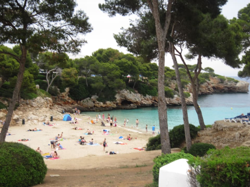 "Bucht Cala Gran" Gavimar Cala Gran Costa del Sur (Cala d'Or ...