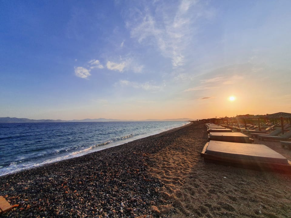 "Strand" Mitsis Ramira (Psalidi) • HolidayCheck (Kos | Griechenland)