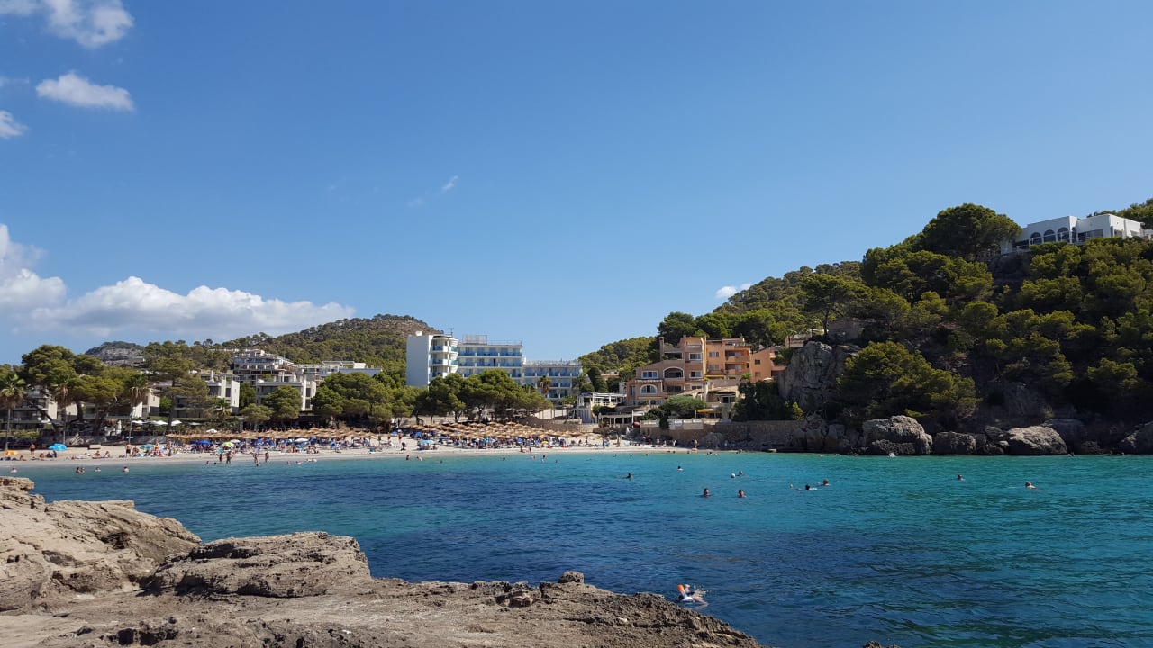 "Strand" Alua Gran Camp de Mar (Camp de Mar) • HolidayCheck (Mallorca ...