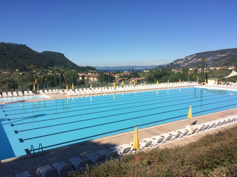"Pool" Poiano Resort - Hotel (Garda) • HolidayCheck (Venetien | Italien)