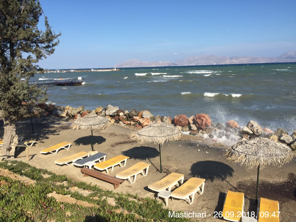 "Strand" Mastichari Bay Hotel (Mastichari) • HolidayCheck (Kos ...