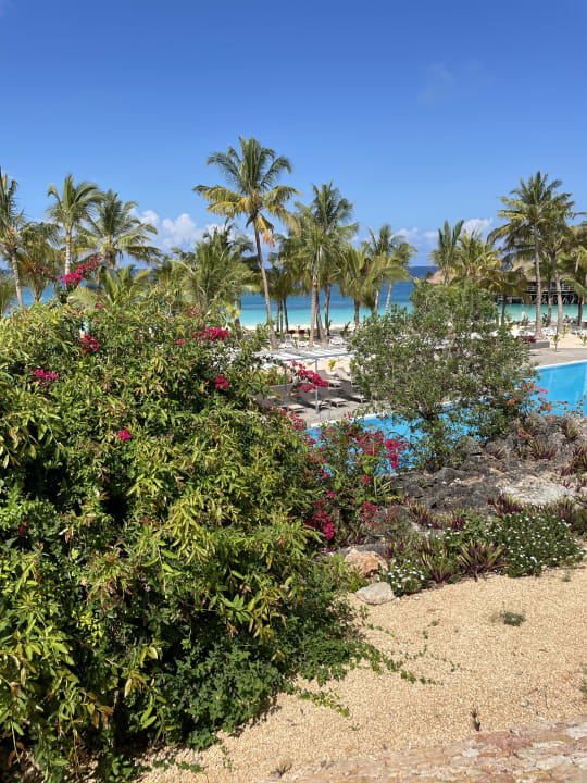 "Pool" Hotel Riu Jambo (Kendwa) • HolidayCheck (Zanzibar / Sansibar ...