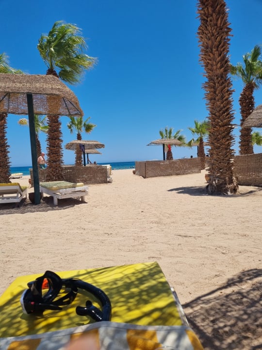 "Gartenanlage" Lotus Bay Beach Resort (Abu Soma) • HolidayCheck ...