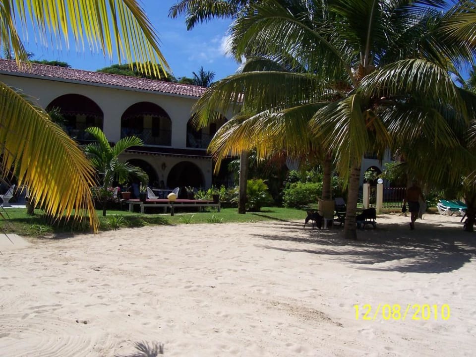 "Hotelstrand" Charela Inn Hotel (Negril) • HolidayCheck (Cornwall ...