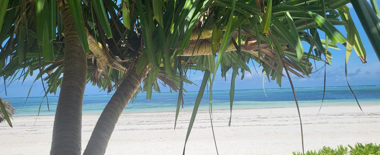 "Ausblick von der Poolbar ..." SBH Kilindini Resort (Pwani Mchangani ...