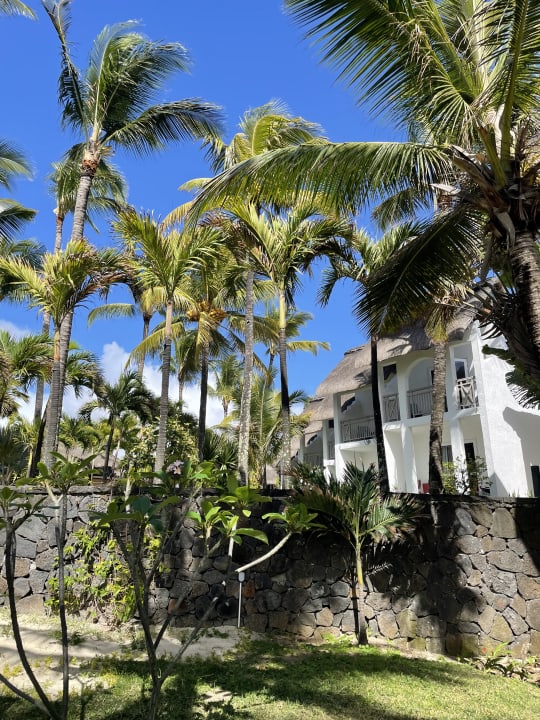 "Gastro" Veranda Palmar Beach Hotel (Belle Mare) • HolidayCheck ...