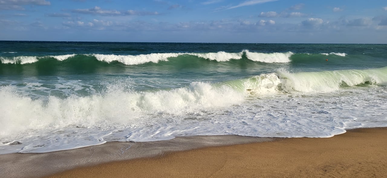 "Strand" GRIFID Encanto Beach (Goldstrand) • HolidayCheck (Bulgarien ...