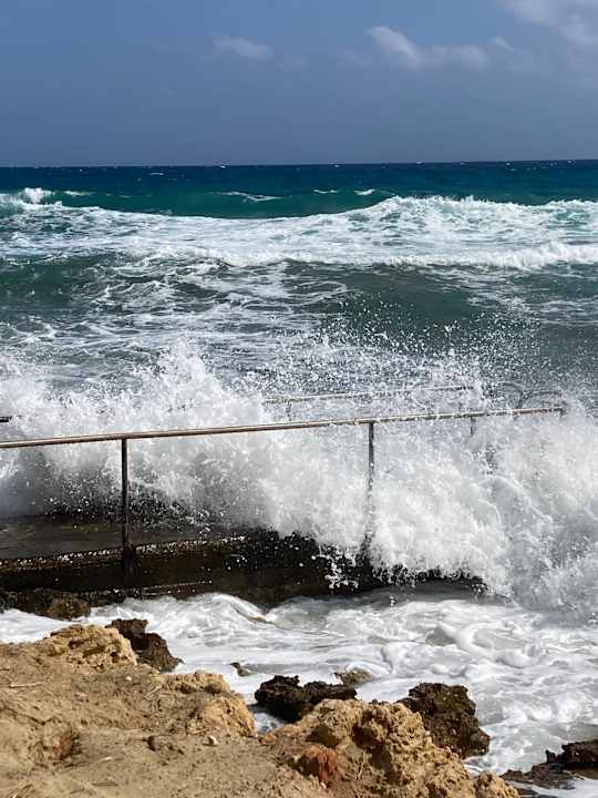 "Strand" Cactus Bay (Stalis) • HolidayCheck (Kreta | Griechenland)