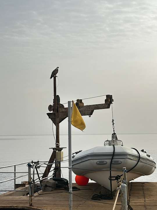 "Außenansicht" Viva Blue Resort (Soma Bay) • HolidayCheck (Hurghada ...