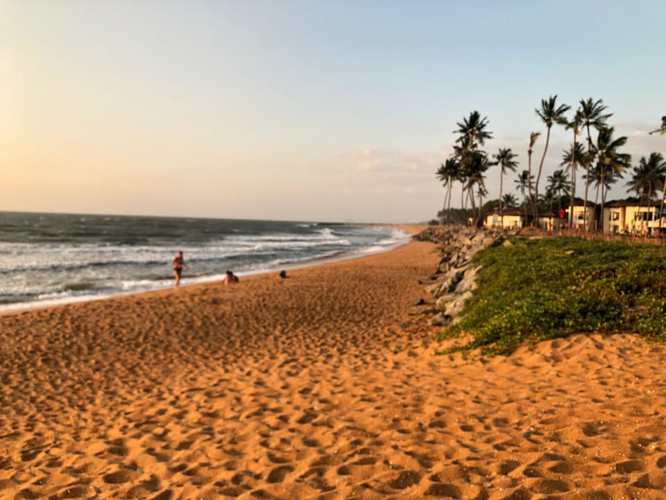 "Strand" Club Hotel Dolphin (Waikkal) • HolidayCheck (Sri Lanka ...