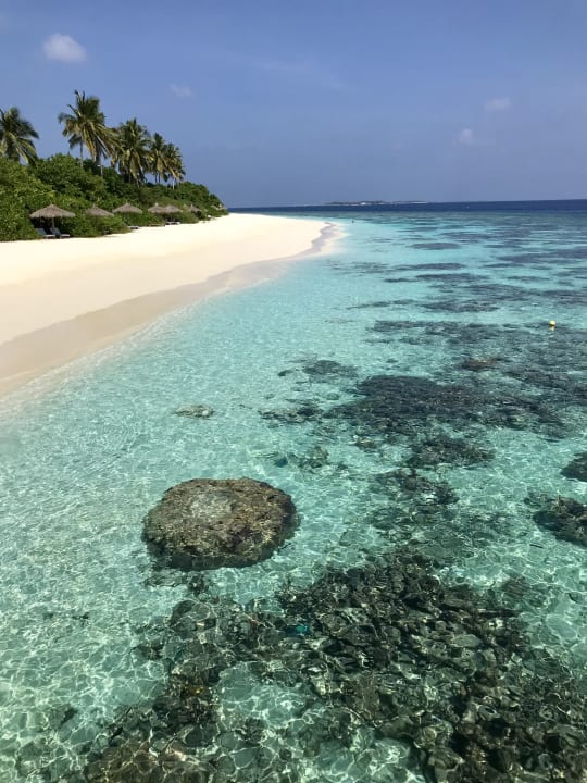 "Strand" Reethi Faru Resort (Raa Maamigili) • HolidayCheck (Raa Atoll ...