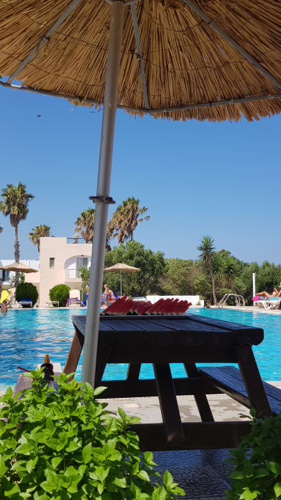 "Pool" Summer Village Hotel (Marmari) • HolidayCheck (Kos | Griechenland)