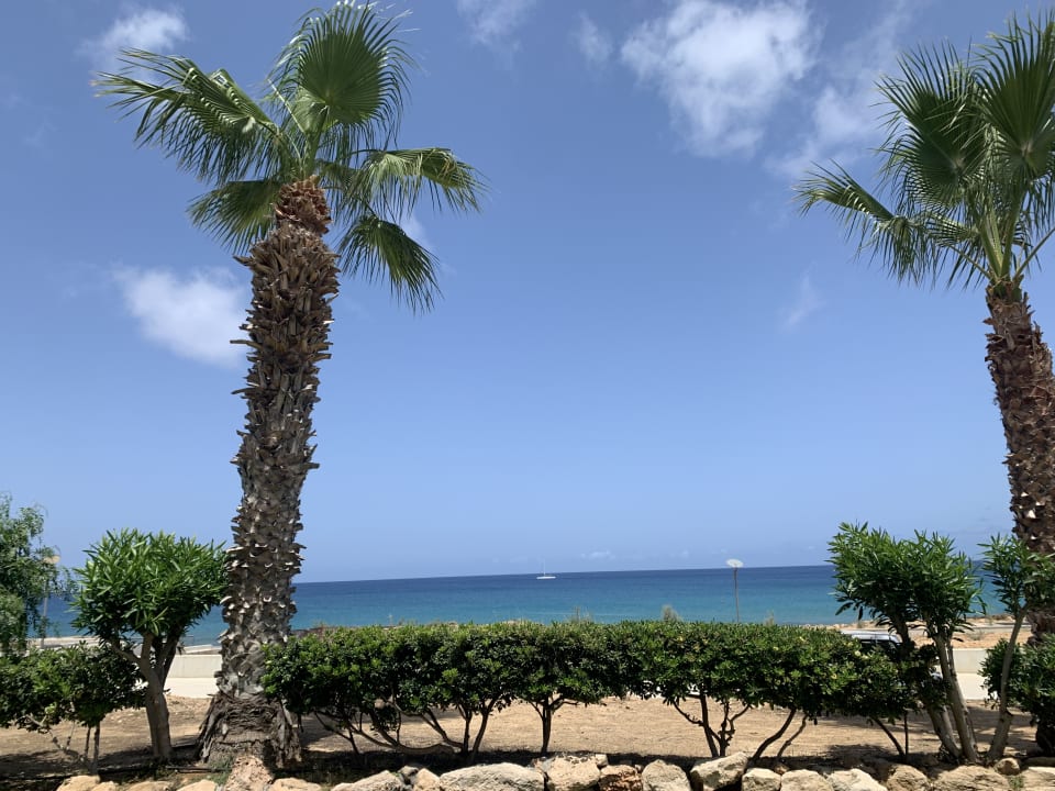 "Ausblick" Louis Althea Beach Hotel (Protaras) • HolidayCheck ...